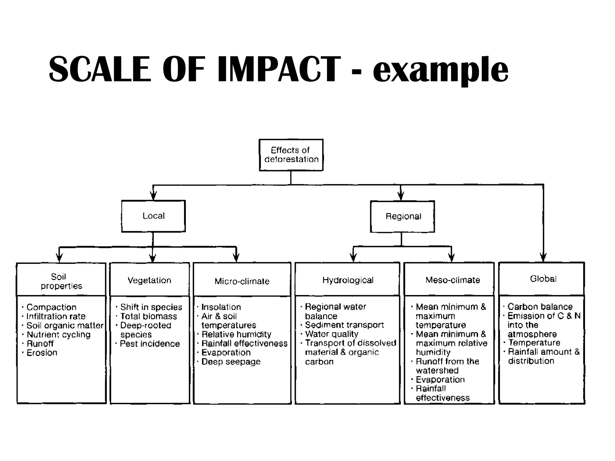 Scale of impacts in Environmental Impact Assessment | PPTX