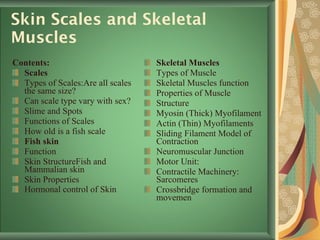 Scales | PPT