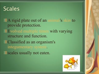 Scales | PPT