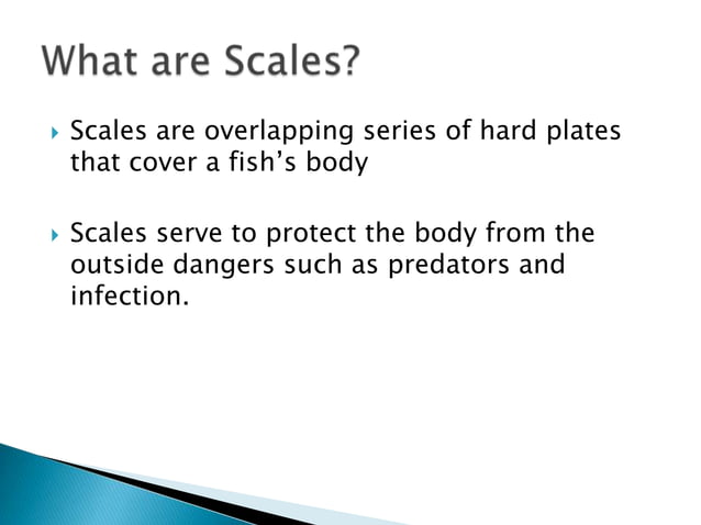 Scales | PPTX