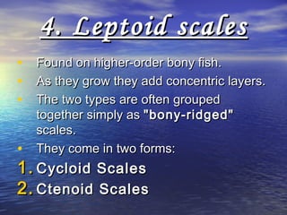 Types of Scales in Fishes | PPT