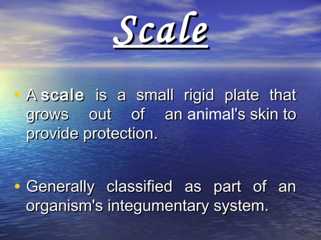 Types of Scales in Fishes | PPT | Fish and Aquariums | Pets