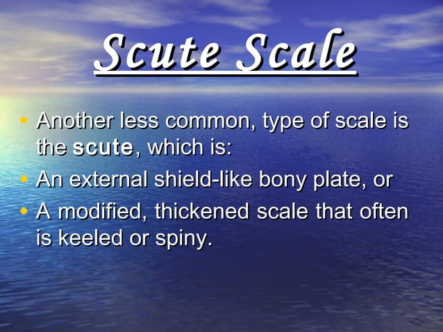 Types of Scales in Fishes | PPT | Fish and Aquariums | Pets