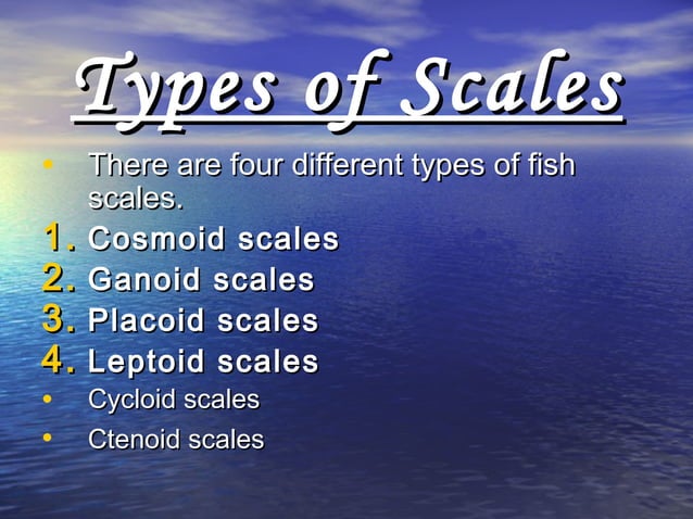 Types of Scales in Fishes | PPT | Fish and Aquariums | Pets