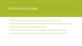 Scales in fishes | PPT