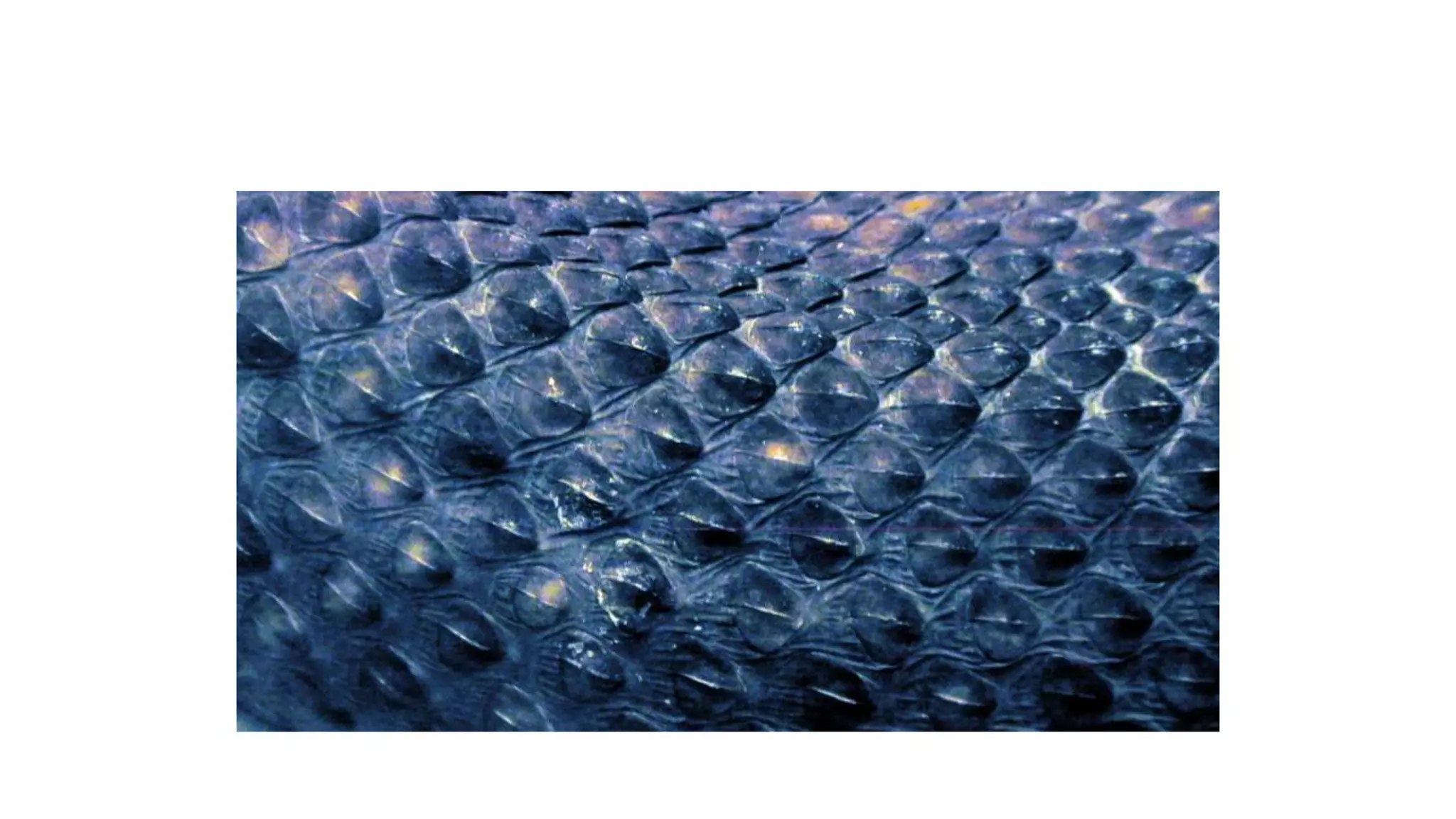 Scale Texture Value | PPTX