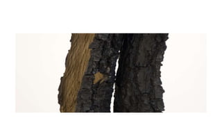 Scale Texture Value | PPTX