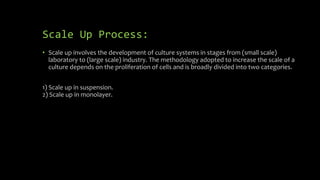Scale up in Tissue Eng | PPTX