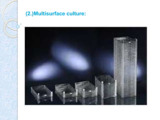 Scale up of animal cell cultture | PPTX