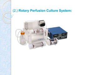 Scale up of animal cell cultture | PPTX