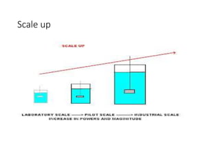 Fermentation -- Scale up Technology | PPTX