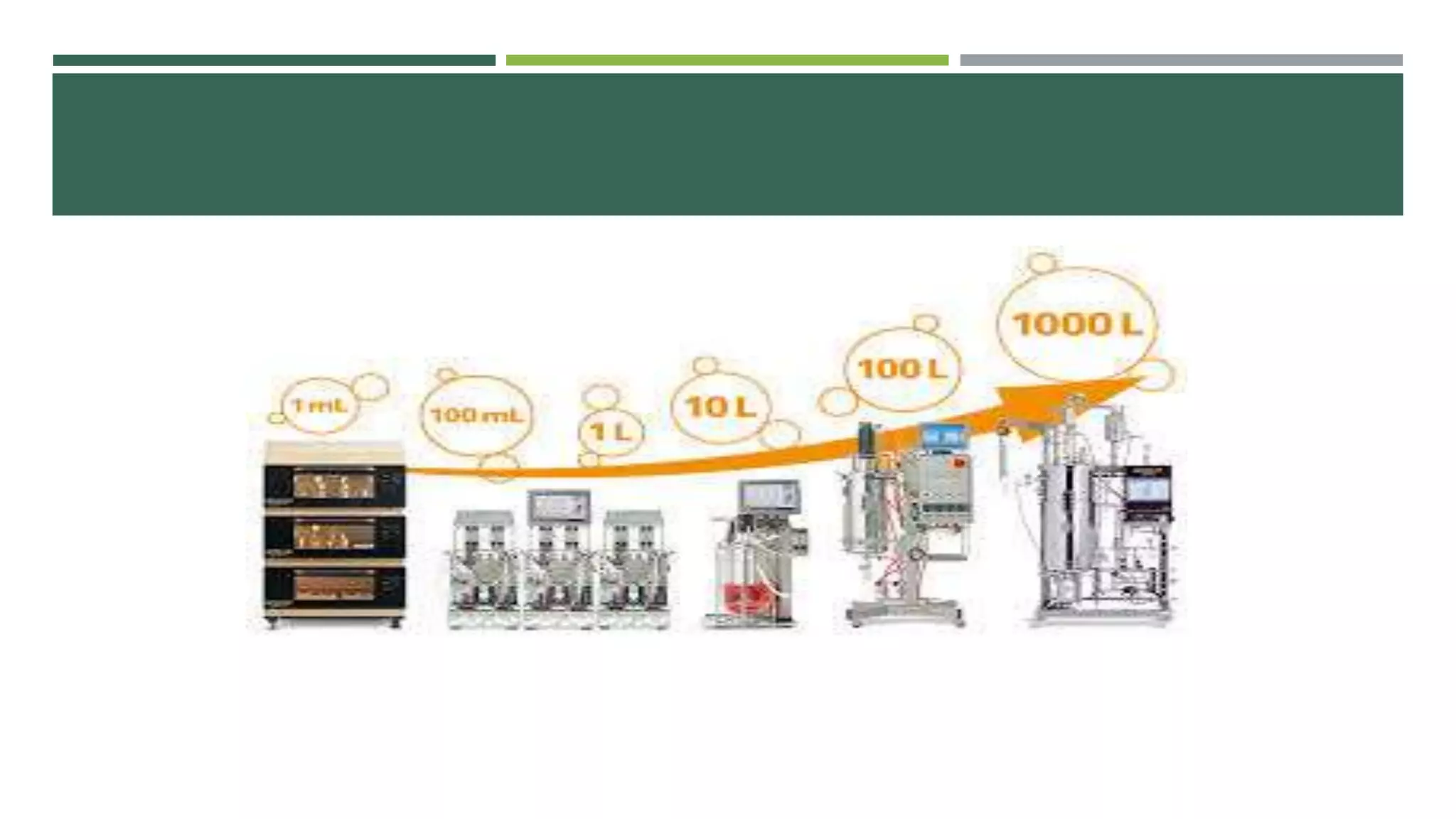 Scale up fermentation process (H.M.Moavia Atique) | PPTX