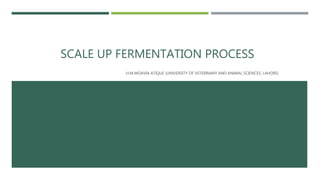 Scale up fermentation process (H.M.Moavia Atique) | PPTX