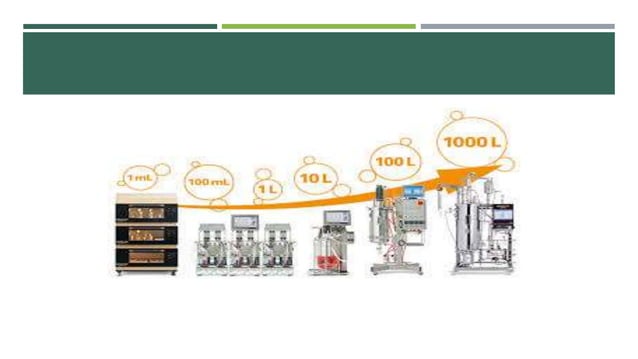 Scale up fermentation process (H.M.Moavia Atique) | PPTX