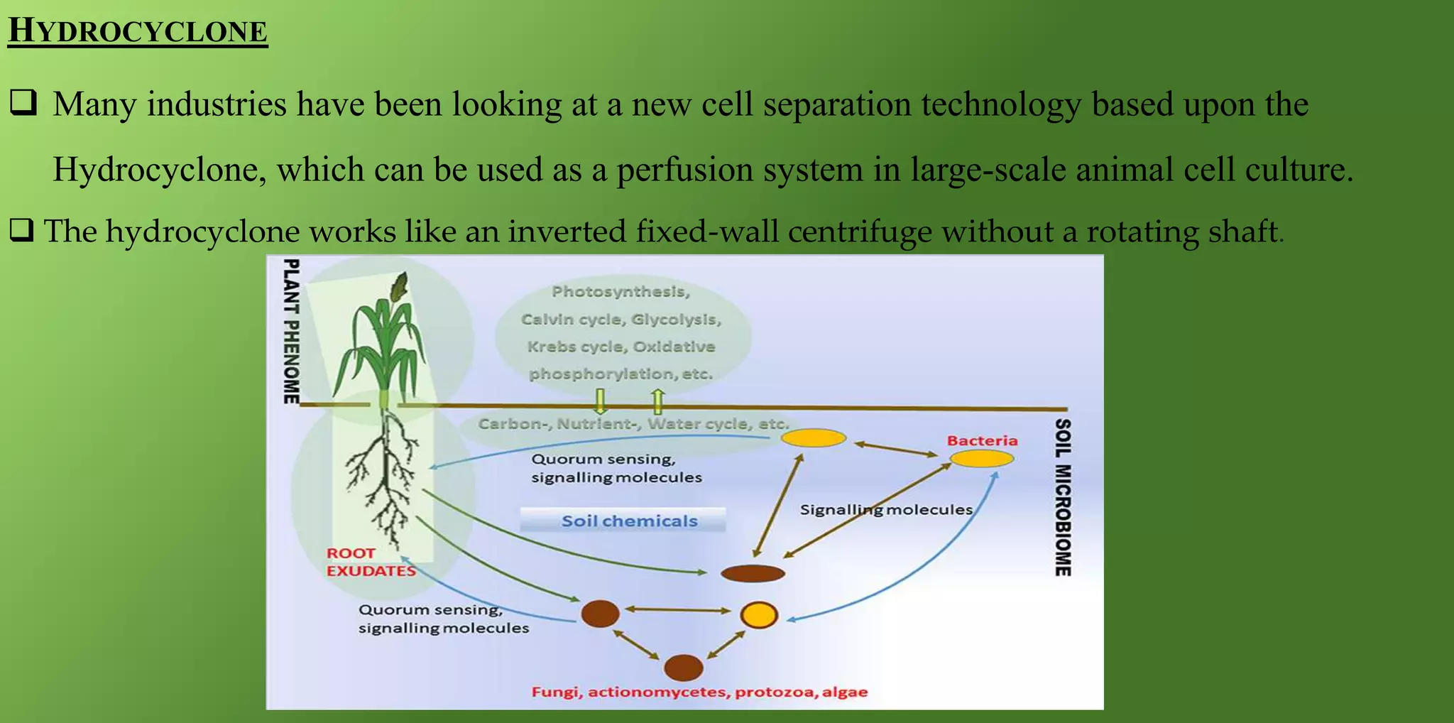 Scale up of industrial microbial processes | PPTX
