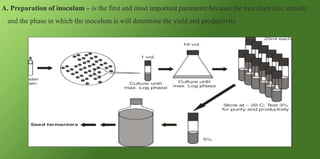 Scale up of industrial microbial processes | PPTX