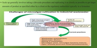 Scale up of industrial microbial processes | PPTX