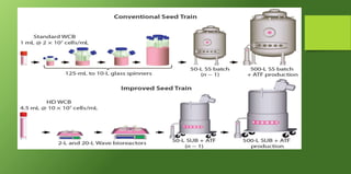 Scale up of industrial microbial processes | PPTX