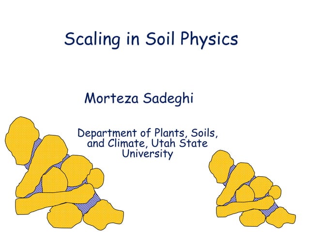Scaling in Soil Physics | PPT