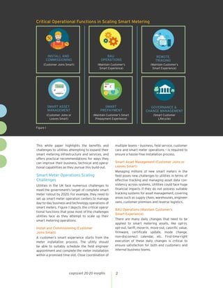 Scaling Up Smart Meter Operations: Challenges and the Way Forward for ...