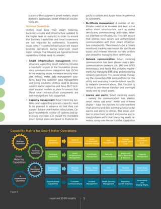 Scaling Up Smart Meter Operations: Challenges and the Way Forward for ...