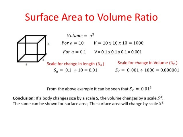 Scaling laws in mems