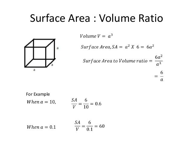 Scaling laws in mems