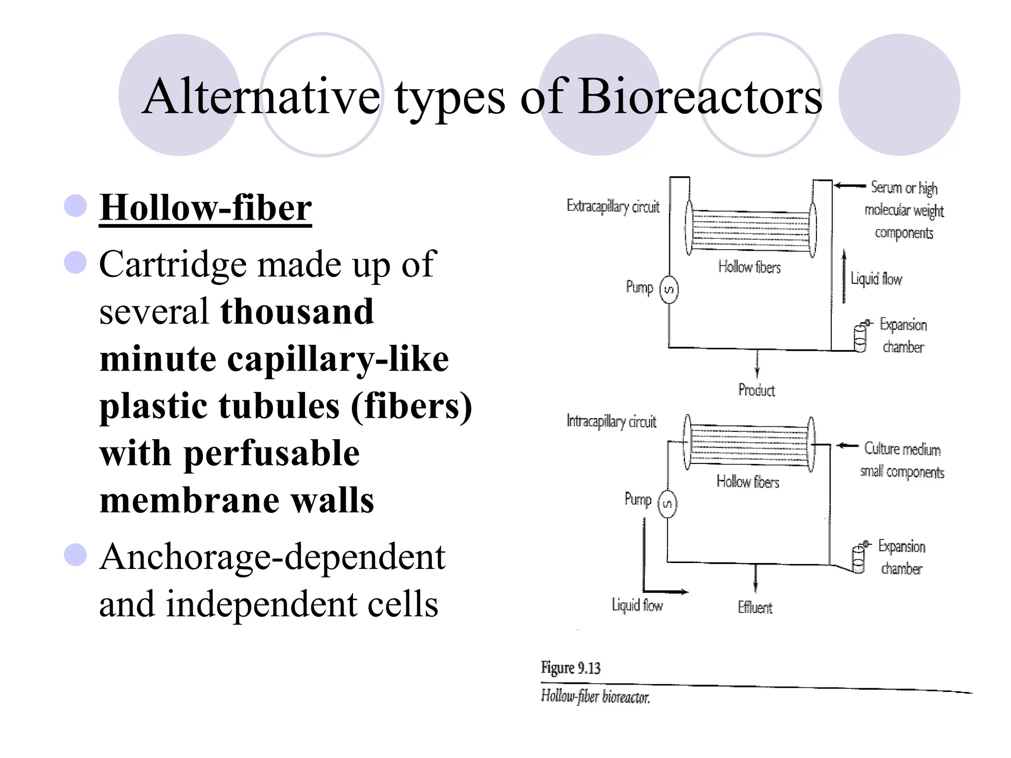 Scaling up animal cell culture using Bioreactors.ppt