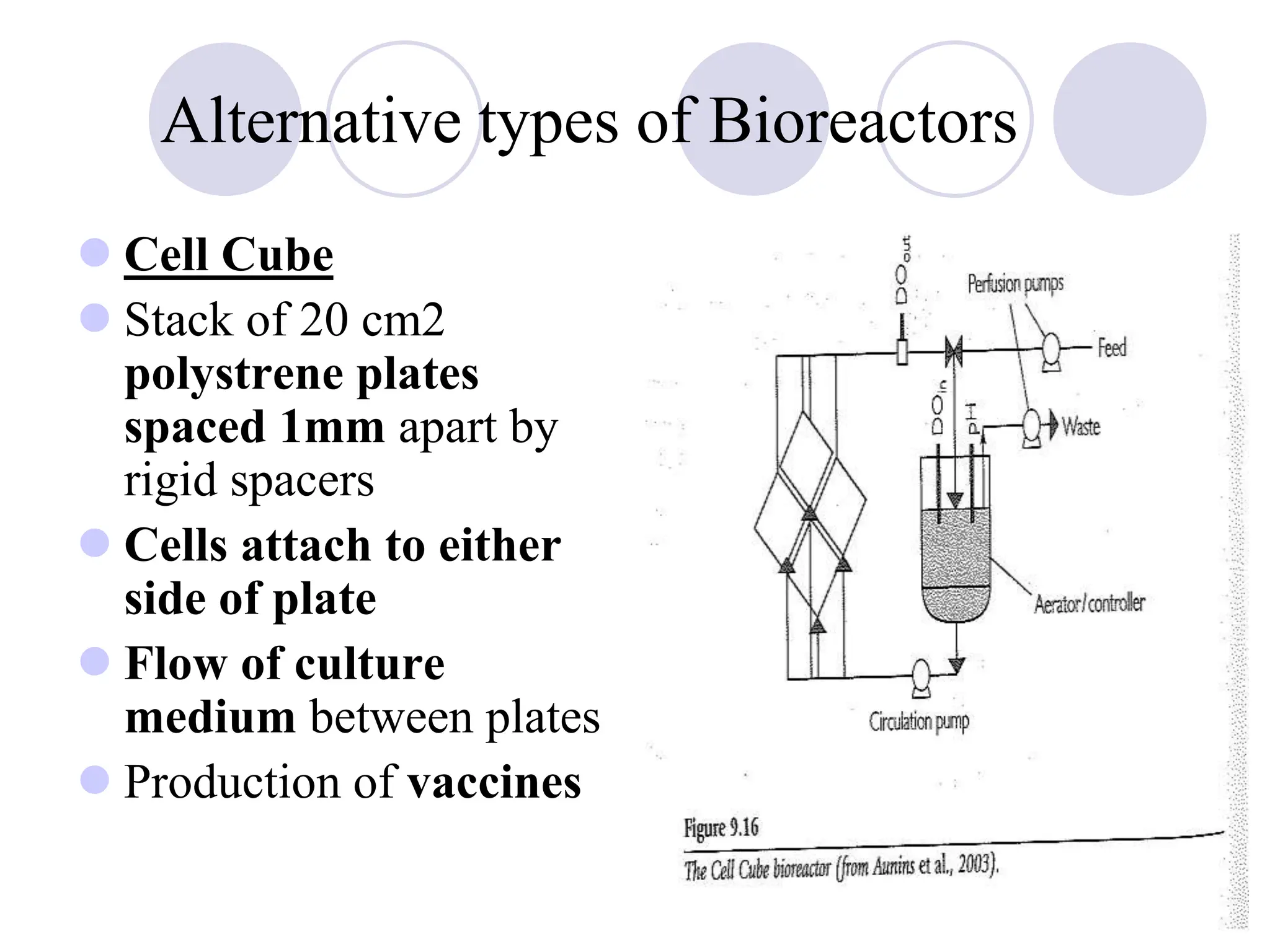 Scaling up animal cell culture using Bioreactors.ppt