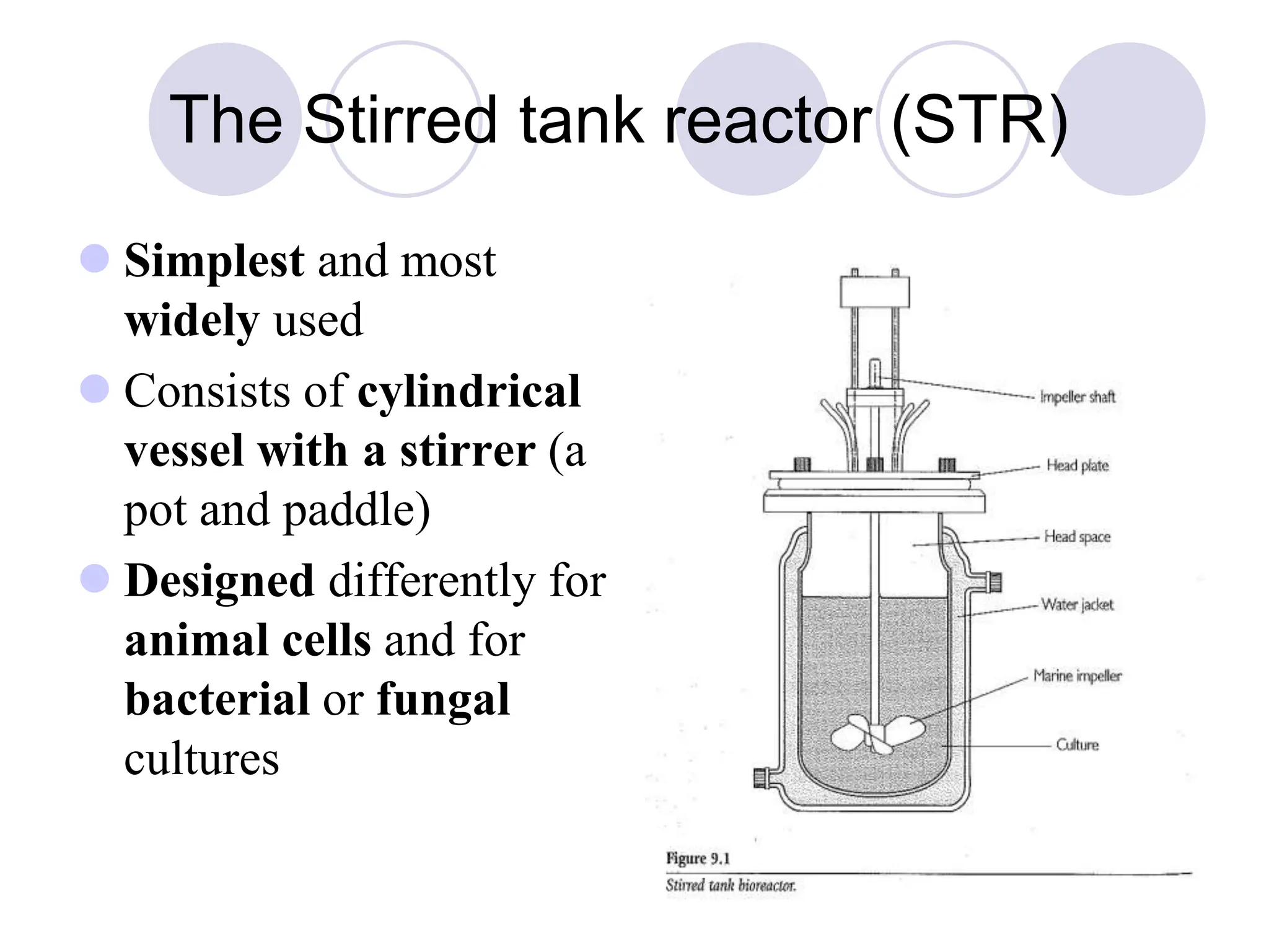 Scaling up animal cell culture using Bioreactors.ppt