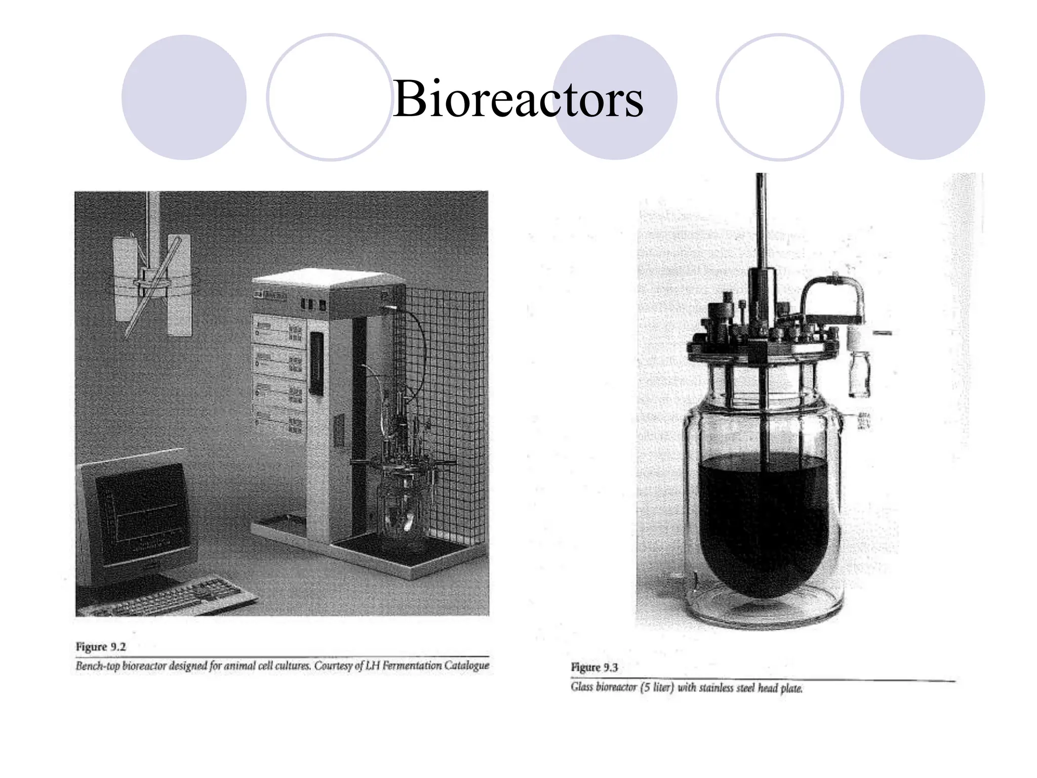 Scaling up animal cell culture using Bioreactors.ppt