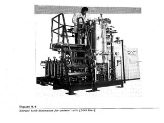 Scaling up animal cell culture using Bioreactors.ppt