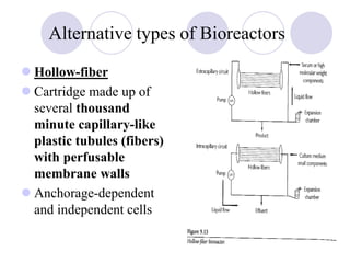 Scaling up animal cell culture using Bioreactors.ppt