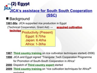 Scaling up JICA | PPT