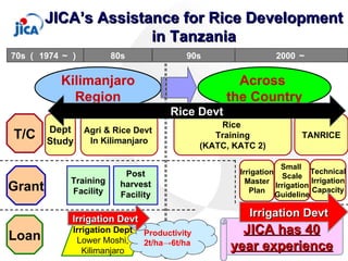 Scaling up JICA | PPT