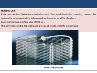 10. Scaling up of cell culture | PPT