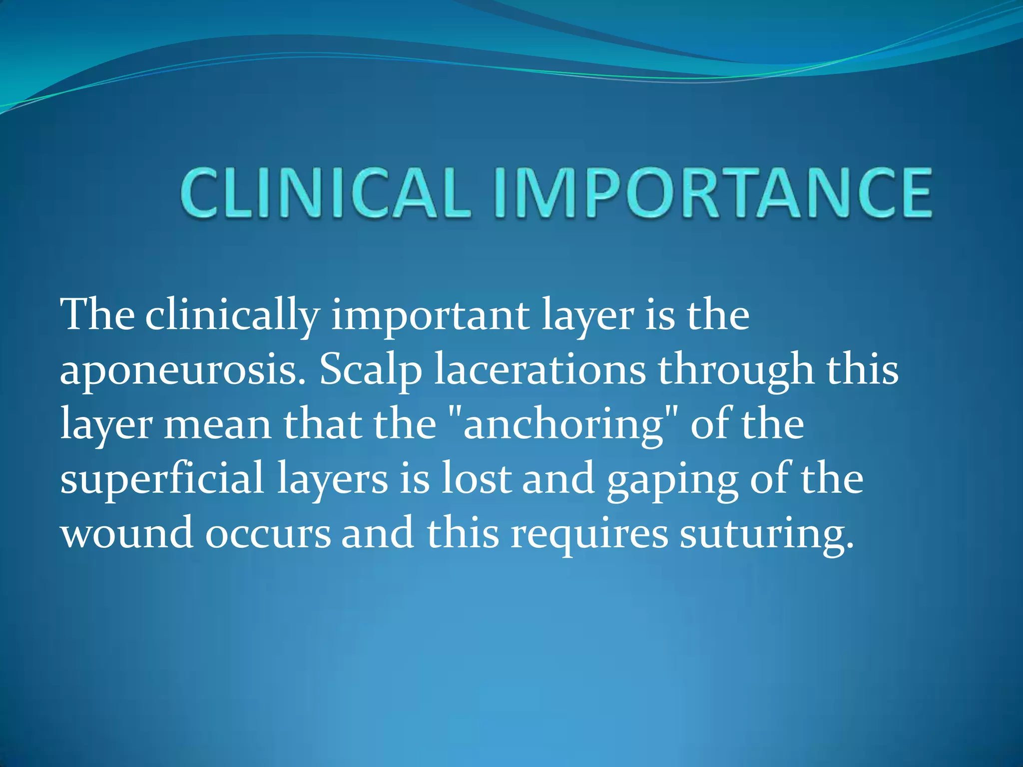 Scalp | PPTX