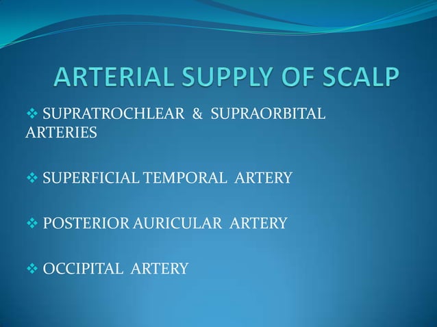 Scalp | PPTX