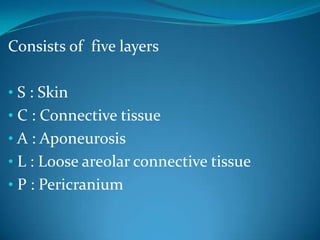 Scalp | PPTX