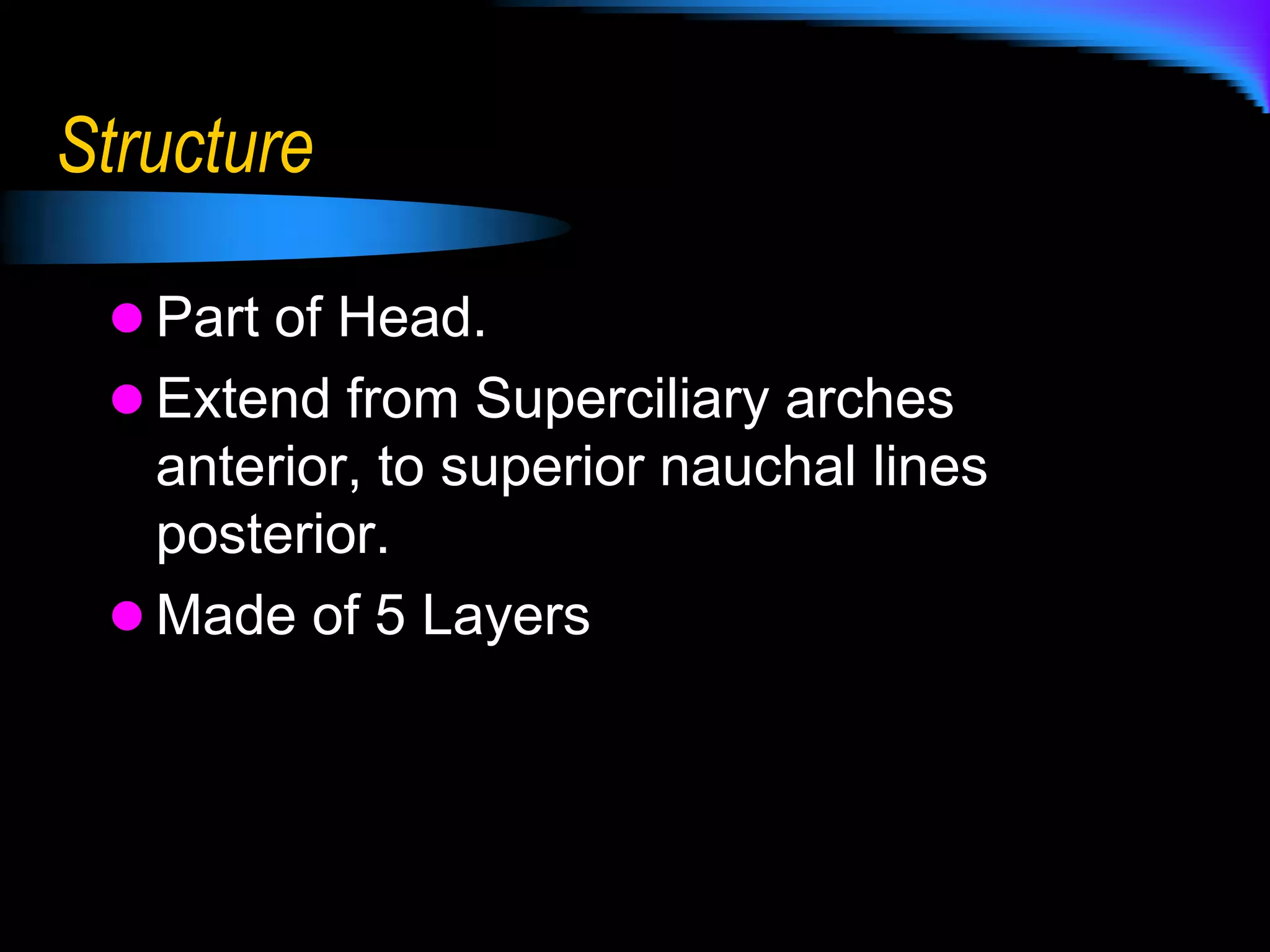 Scalp Anatomy | PPTX