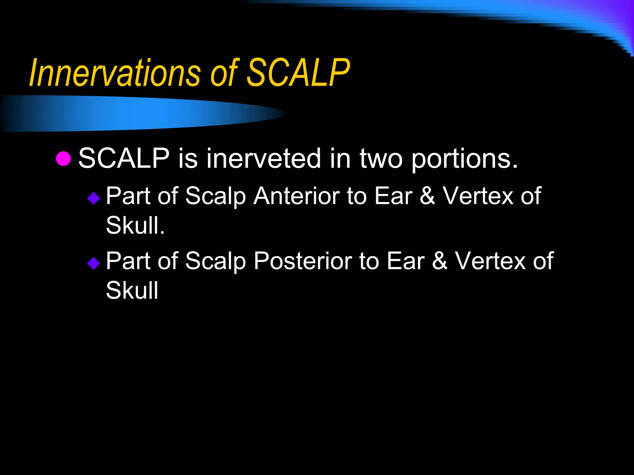 Scalp Anatomy | PPTX