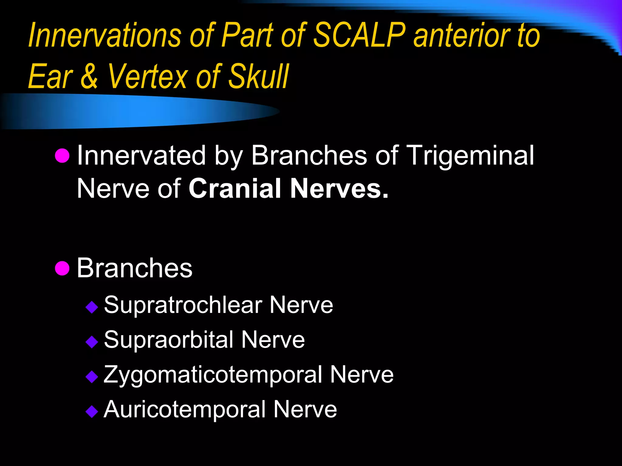 Scalp Anatomy | PPTX