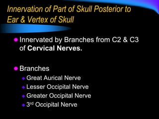 Scalp Anatomy | PPTX