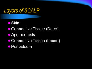 Scalp Slide