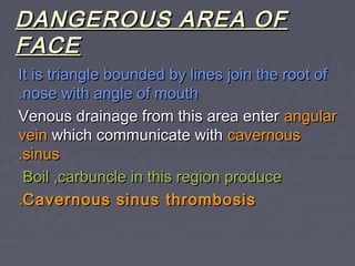 Anatomy of Scalp | PPT | Ear, Nose and Throat Conditions | Diseases and ...