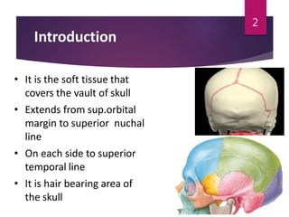 Scalp | PPTX