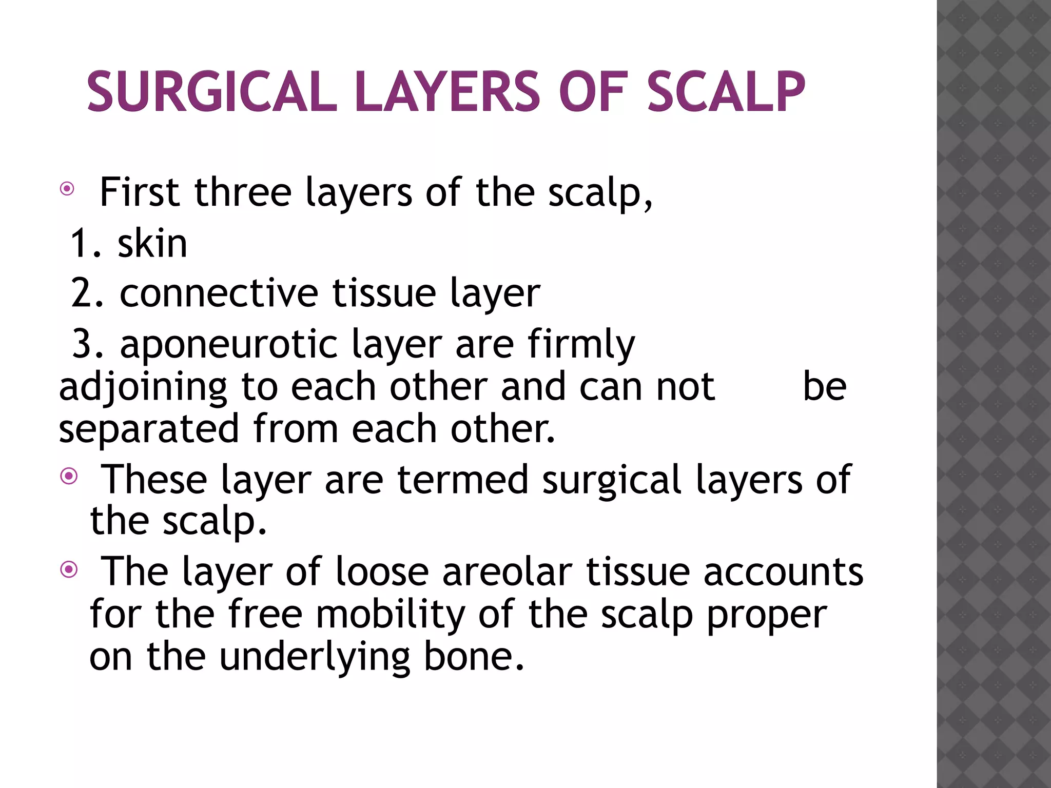 anatomy of Scalp full detail | PDF