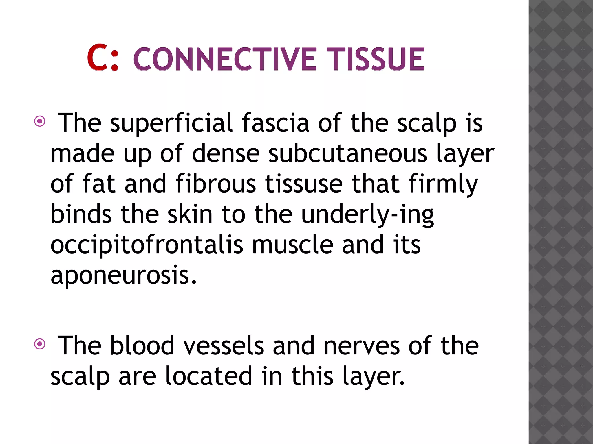 anatomy of Scalp full detail | PDF