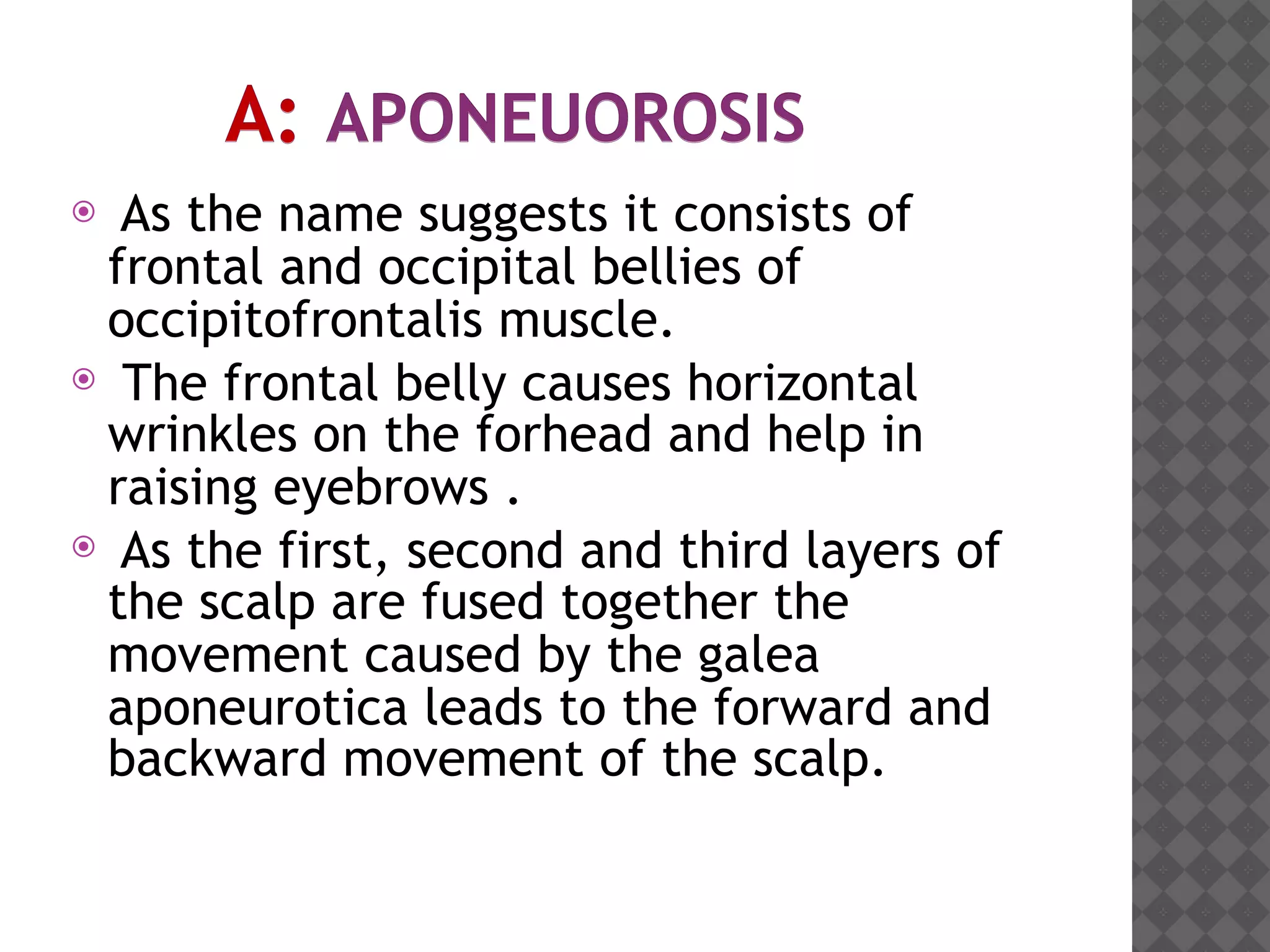 anatomy of Scalp full detail | PDF