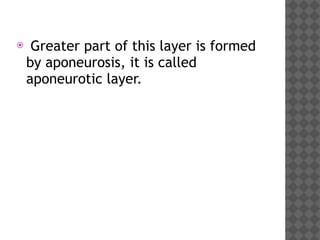 anatomy of Scalp full detail | PDF